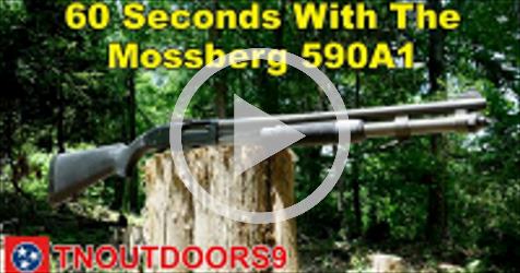 My.Evilmilk | https://youtu.be/uH38puu5aaw