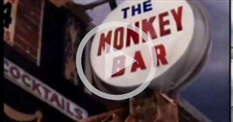 My.Evilmilk | https://youtu.be/vRk6VDNBDgA