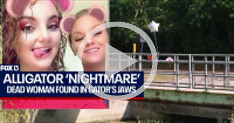 My.Evilmilk | https://youtu.be/wboR4wEFZNs