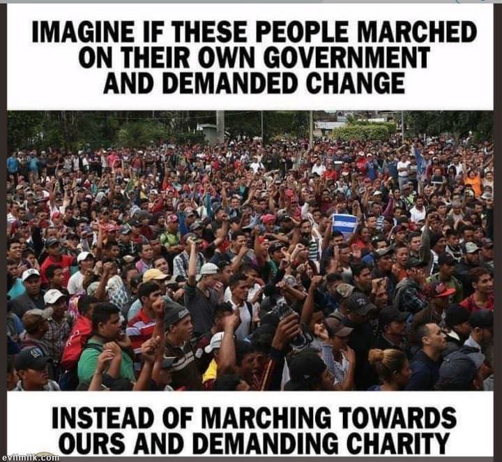 Meme thread V32: No Russian collusion edition | Page 37 | Sherdog ...