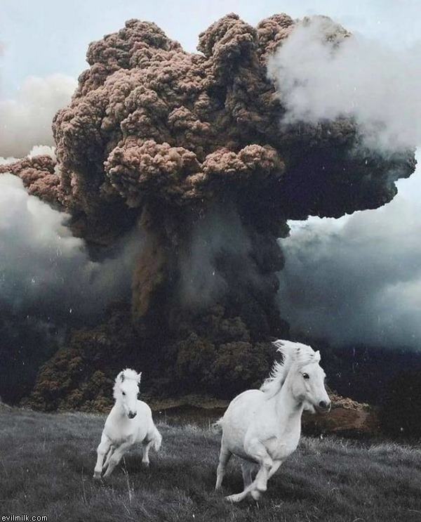 My.Evilmilk | Atomic Animals Dump