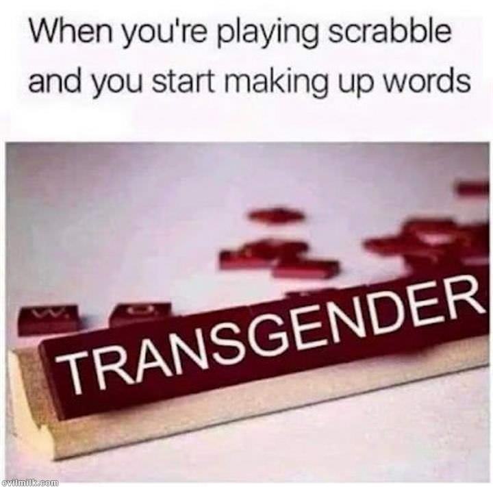 My.Evilmilk | Transphibian