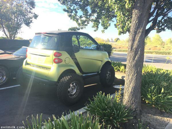 My.Evilmilk | Jacked Up Smart Car