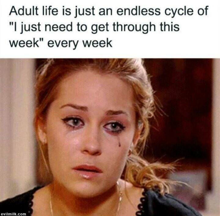 My Evilmilk Adult Life