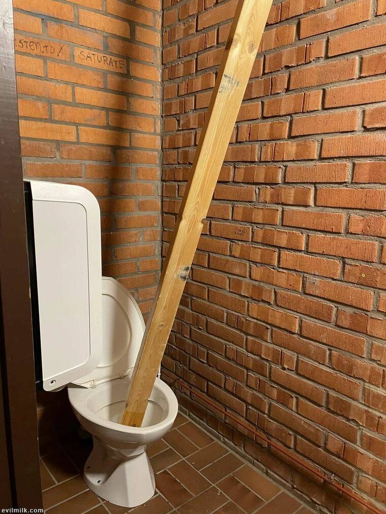 My.Evilmilk | Pooping A Log